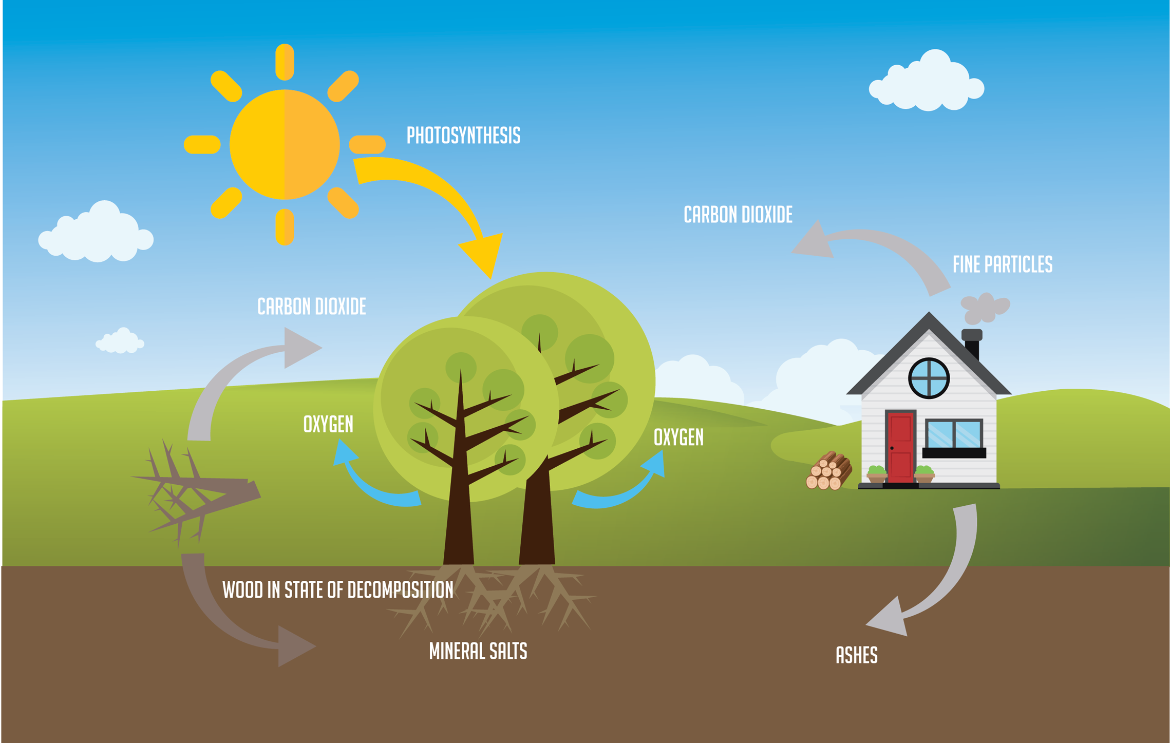 Fireplace Axis : The Wood, Heating energy